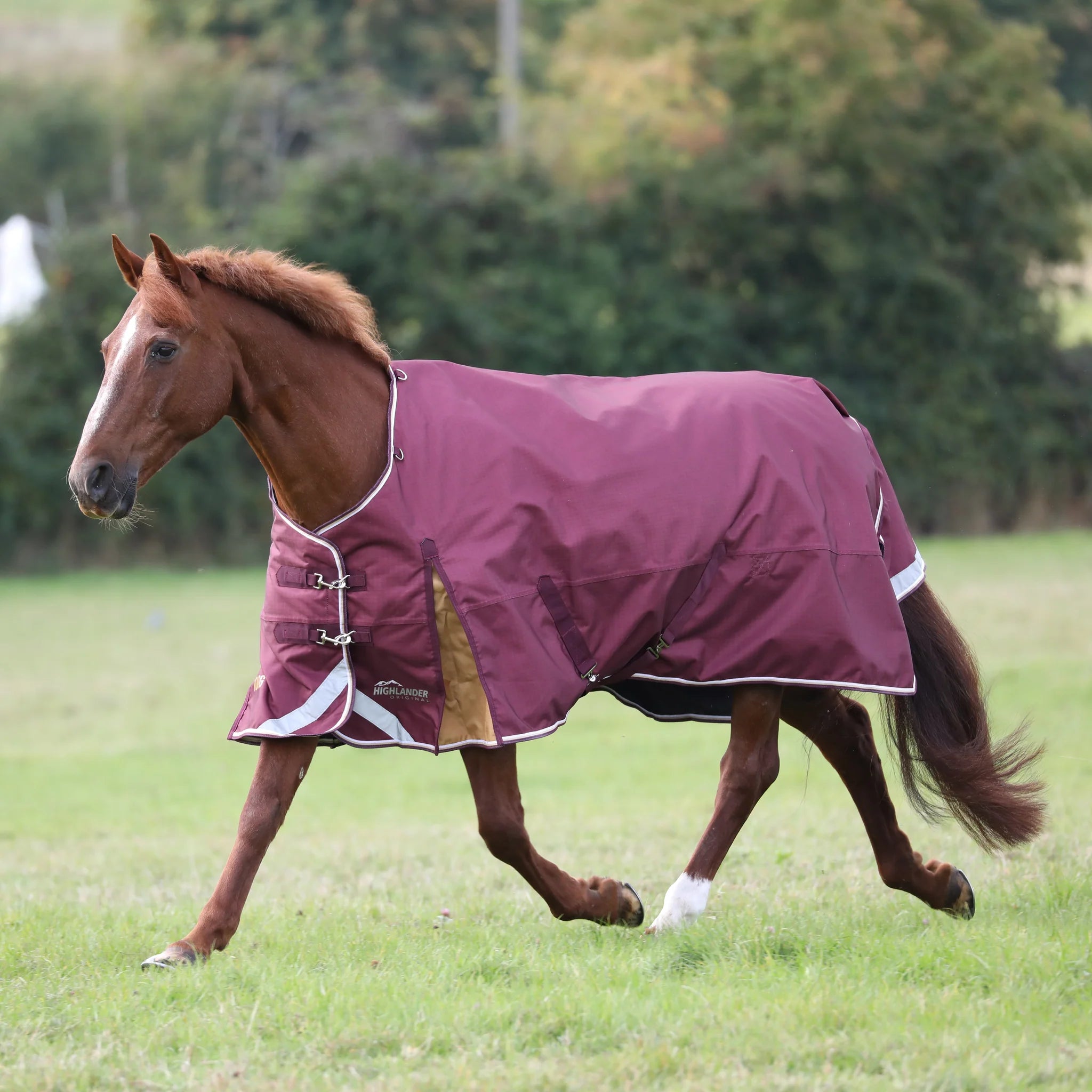 SHIRES Highlander Plus 100 Standard Neck-Maroon – Log Cabin Tack