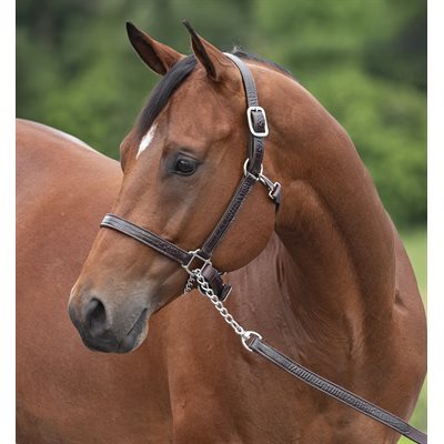 Perri's ENGLISH CROC HALTER HORSE – Log Cabin Tack