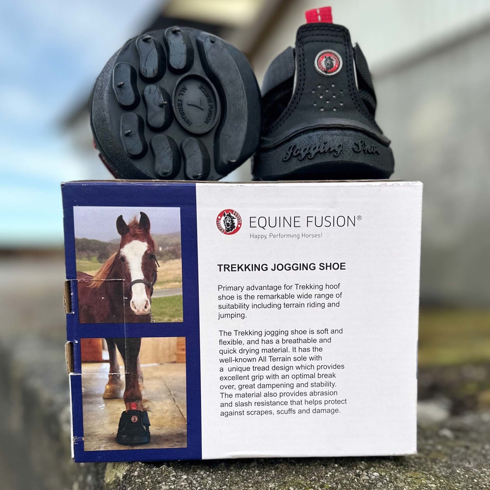 Equine Fusion Trekking Shoe - Black – Log Cabin Tack