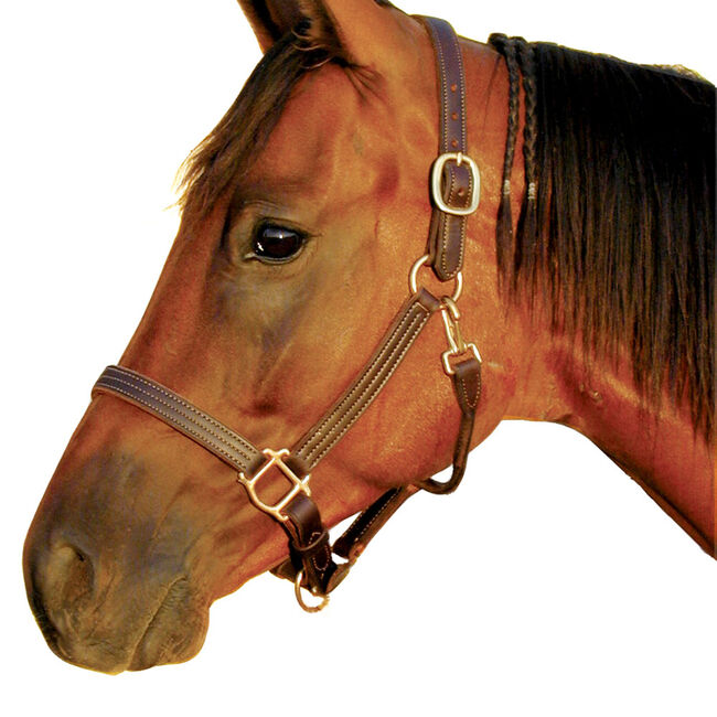 Intrepid Triple Stich Leather Halter with Brass Fittings – Log Cabin Tack