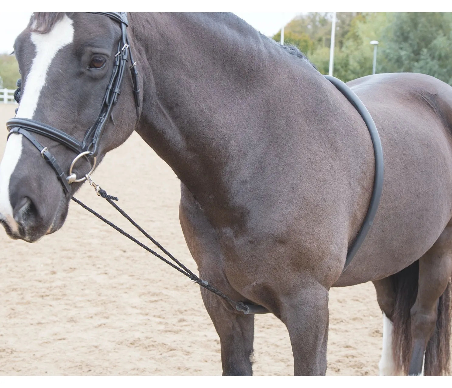 SOFT LUNGING AID – Log Cabin Tack