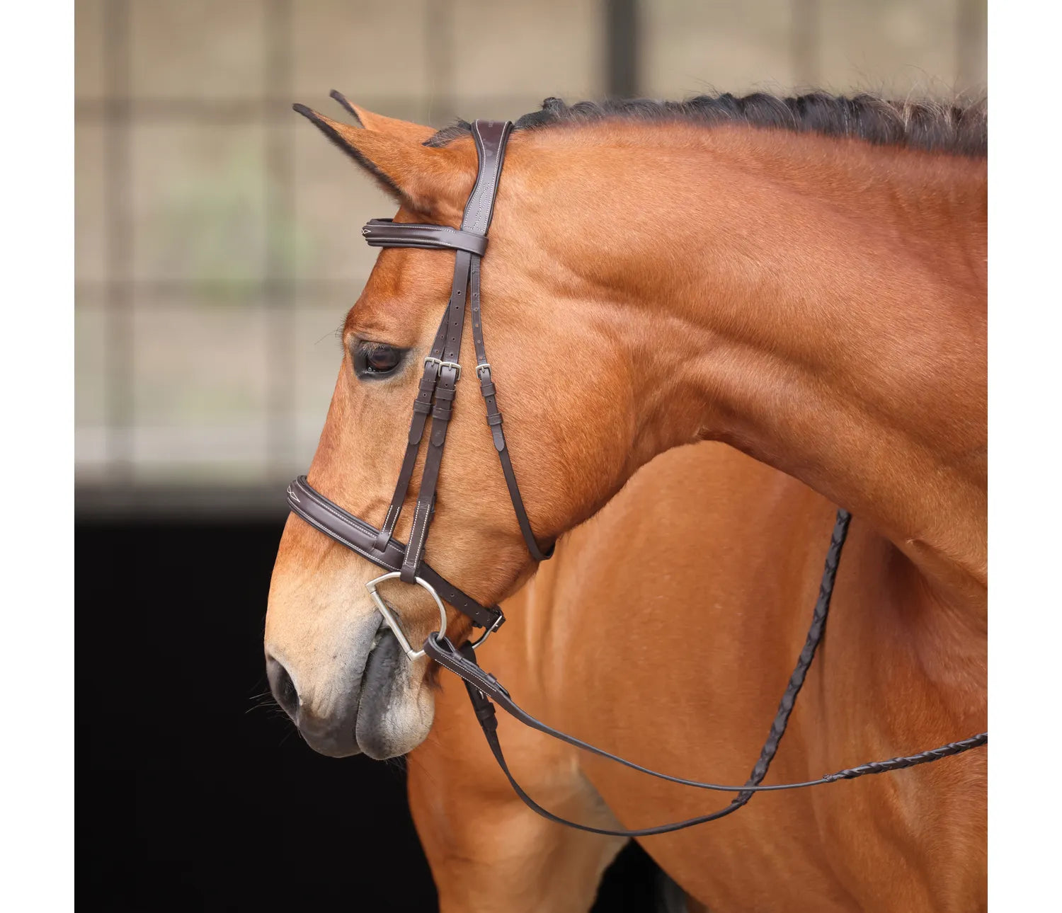 Avignon Wellington Bridle – Log Cabin Tack