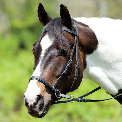 Dr Cook Black Biothane Bitless Bridle – Log Cabin Tack